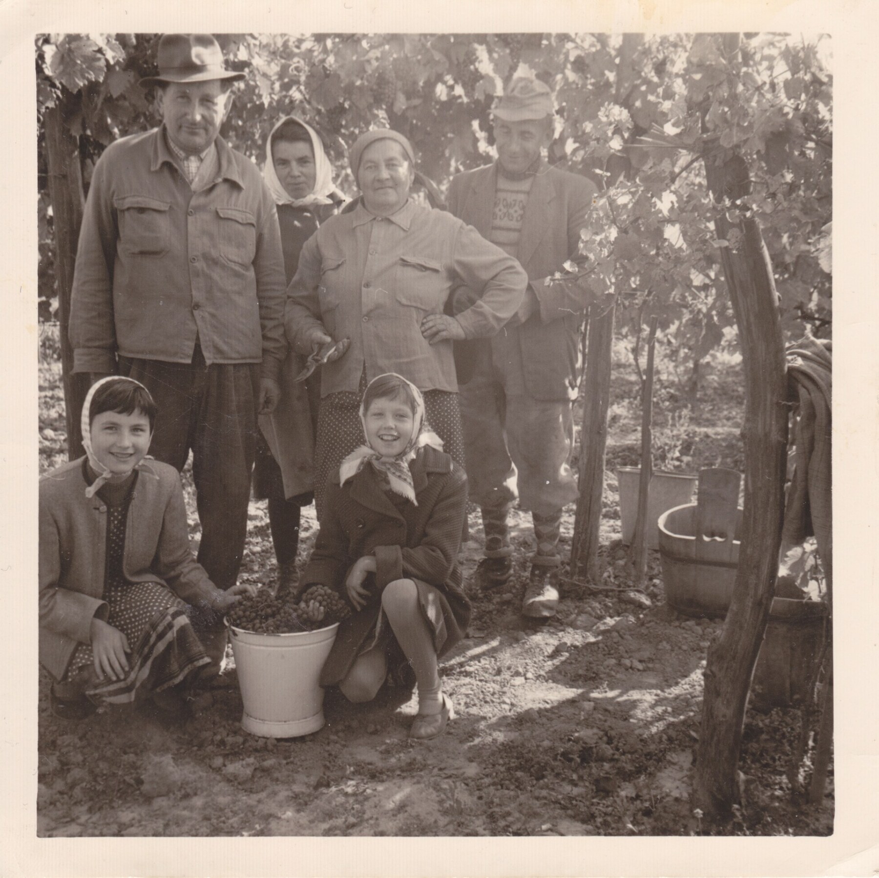 Geschichte - Weingut Edlinger